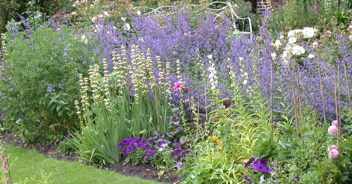Das Blumenbeet – Die schönsten Beetpflanzen für den Garten - Mauk ...