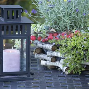 Durch Windlichter gemütliche Atmosphäre im Garten schaffen - Mauk ...